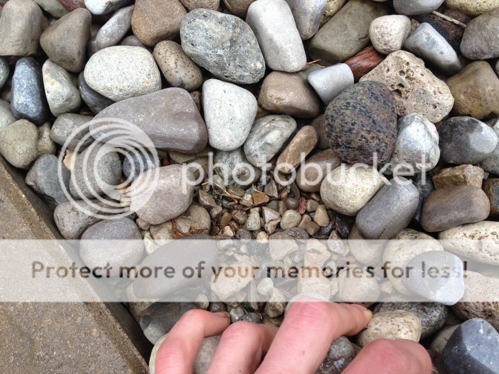 Quoting a river rock laying job... | Lawn Care Forum