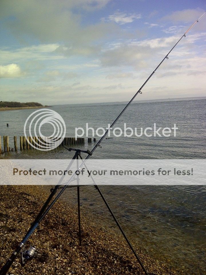 lepe beach surprise bass | World Sea Fishing Forums